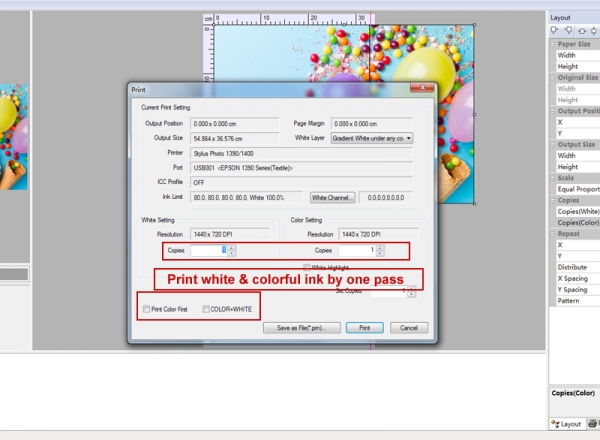2021 New Arrival Print one pass AcroRIP ver9.0.3 introduction ...